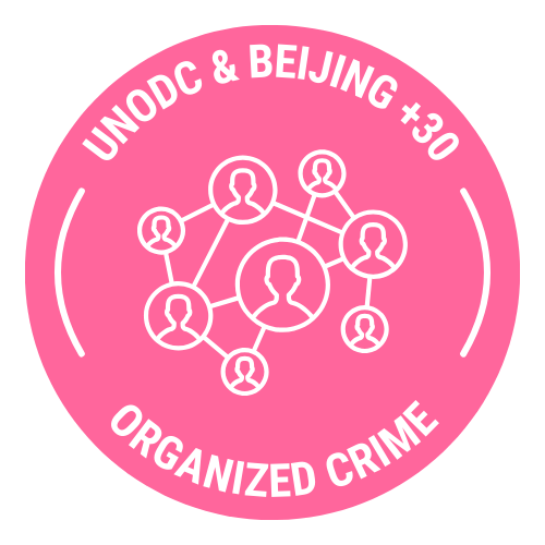 UNODC and Beijing +30: Panel 4