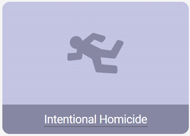 Global Study on Homicide