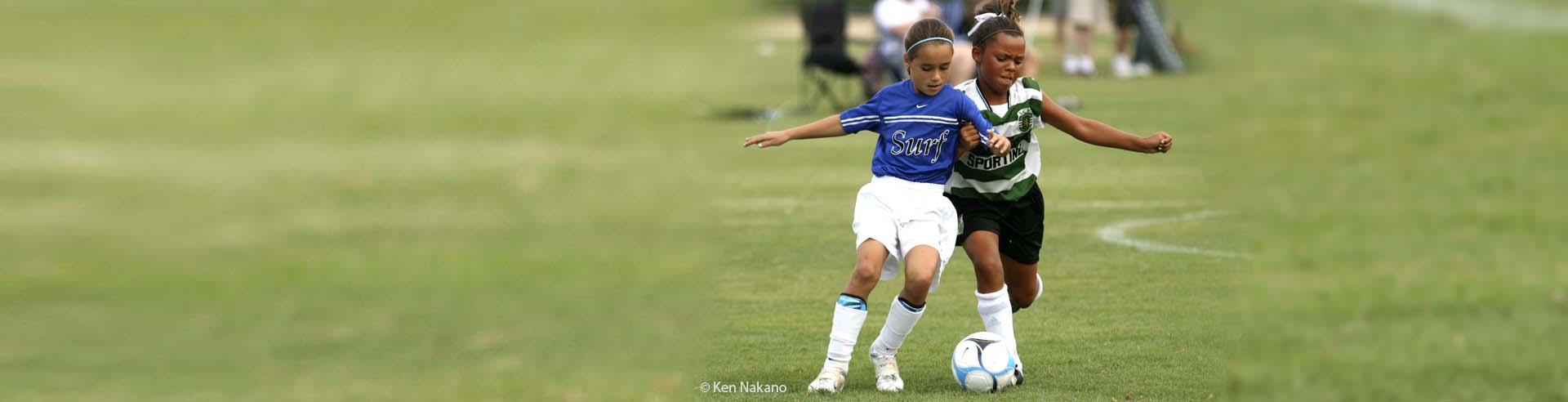 Doha Declaration Global Programme