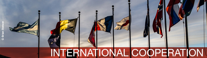 International-cooperation