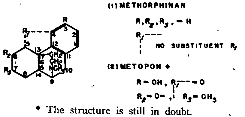 UNODC - Bulletin on Narcotics - 1952 Issue 4 - 004