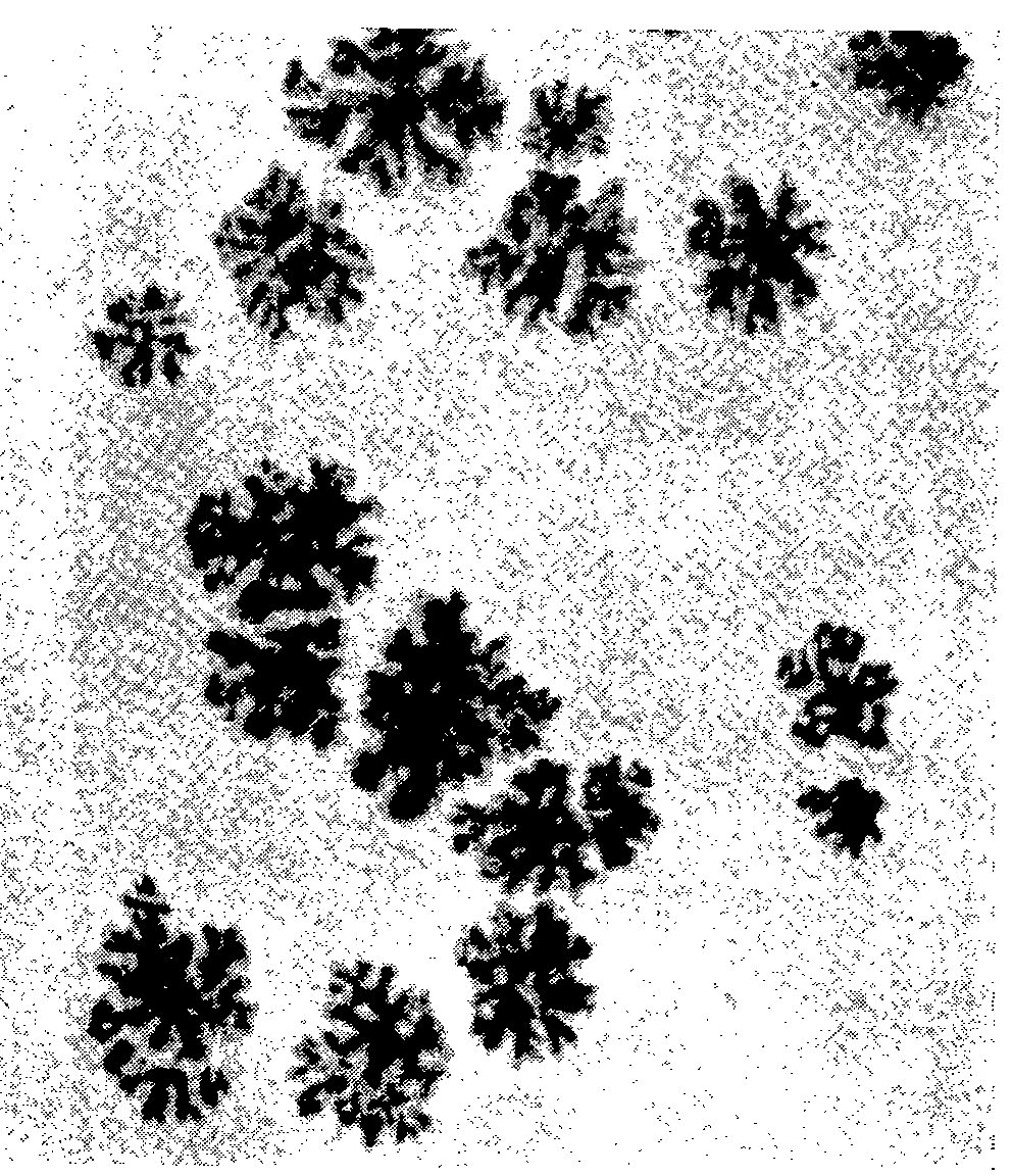 UNODC - Bulletin on Narcotics - 1955 Issue 3 - 005