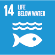 SDG14 and 15